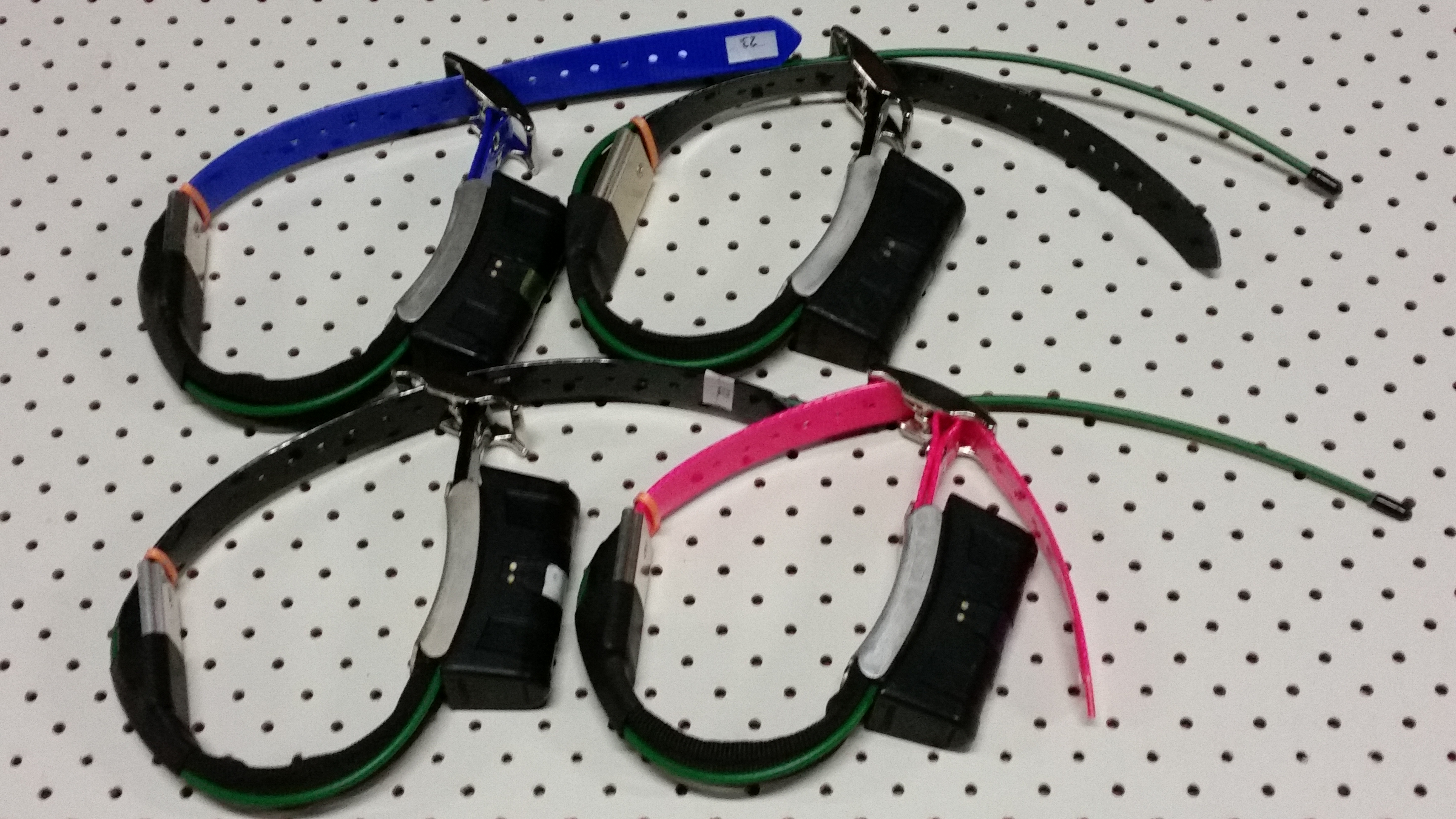 Used Garmin DC30 with new collar strap – Collars N Stuff