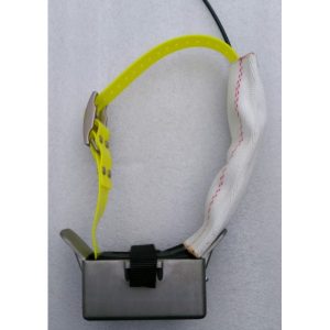 Pig Hunting Gear – Collars N Stuff