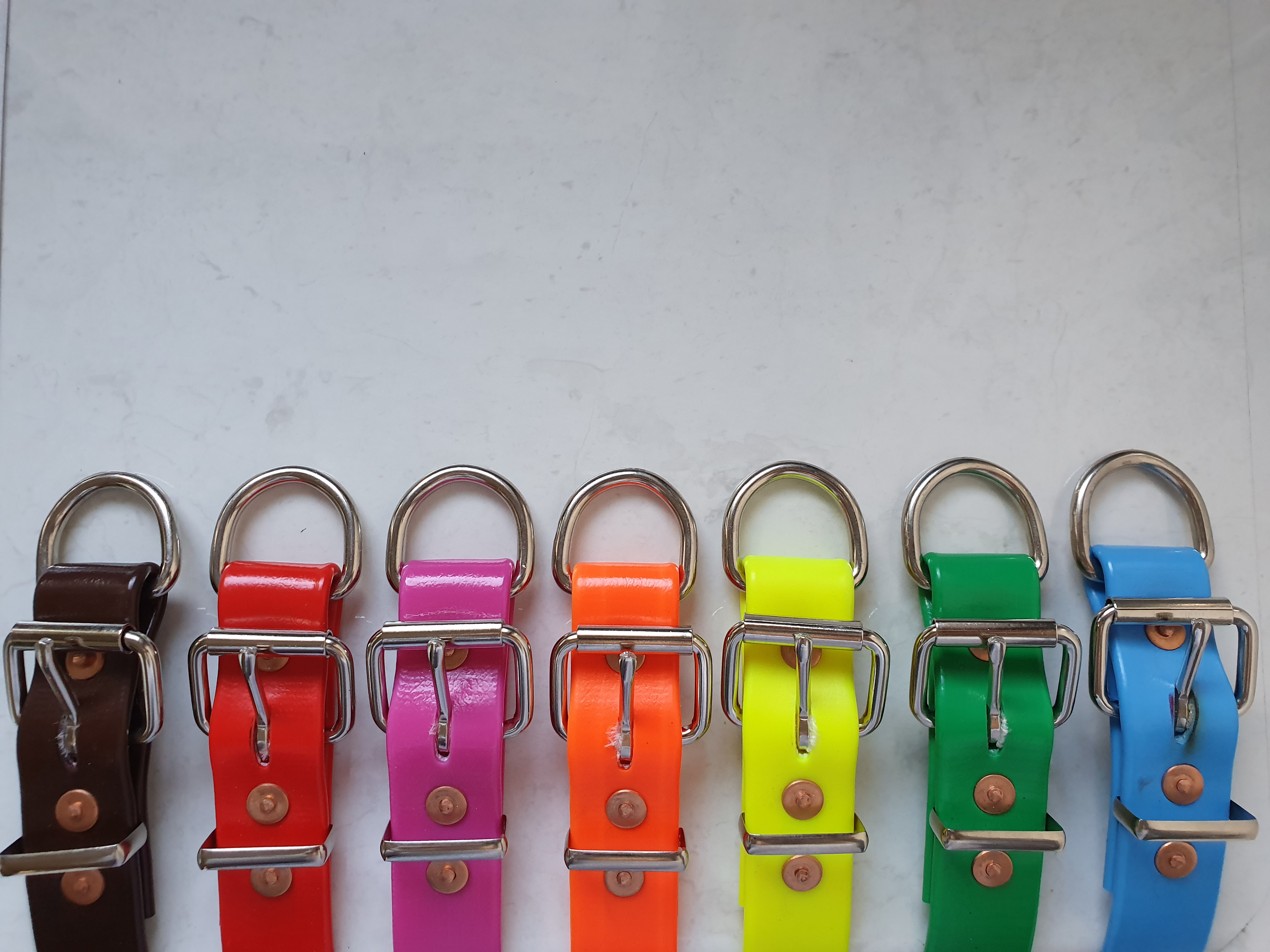 Old School Dog Yard Collar and ID Plate – Collars N Stuff