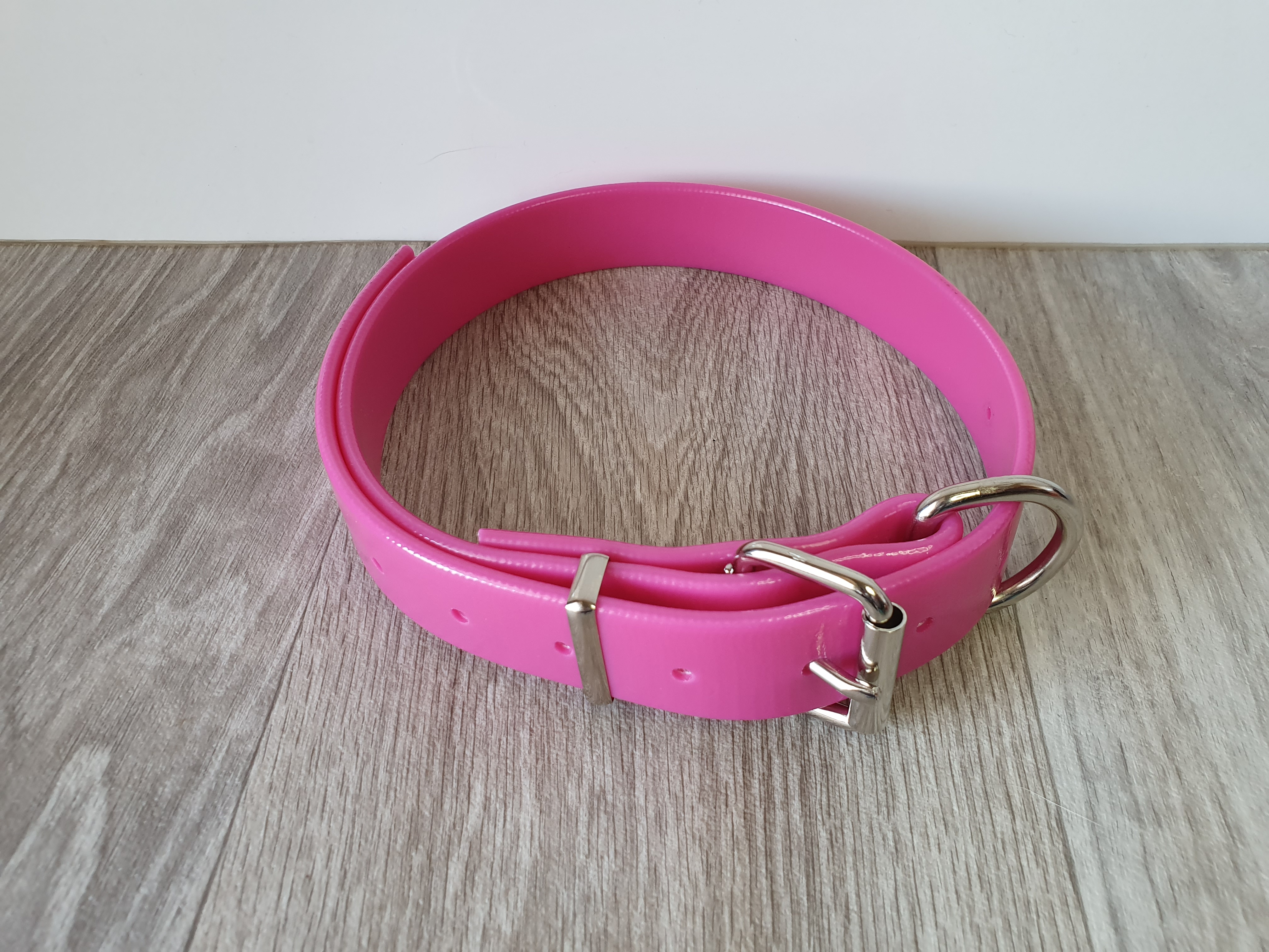 Old School Dog Yard Collar and ID Plate – Collars N Stuff