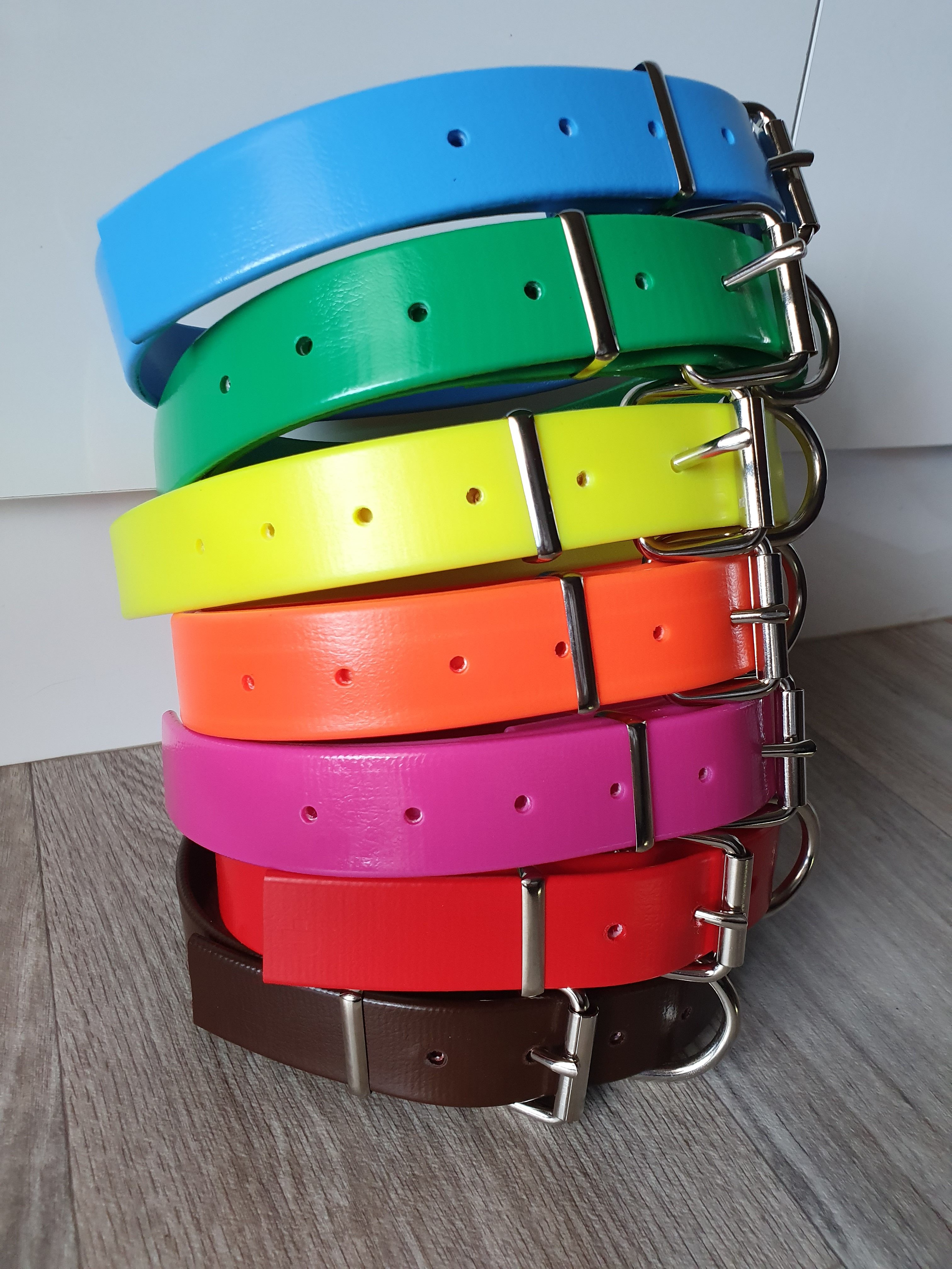 Old School Dog Yard Collar and ID Plate – Collars N Stuff