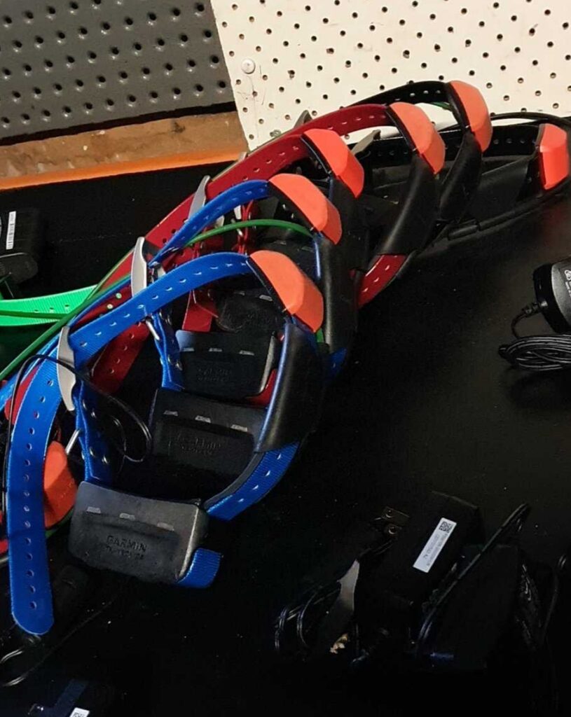 Garmin T5 Used (AUS version) with Wall Charger – Collars N Stuff