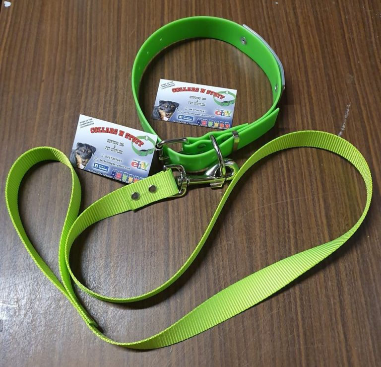 32mm Collar, ID Plate and Lead Combo, SPECIAL- Green only – Collars N Stuff
